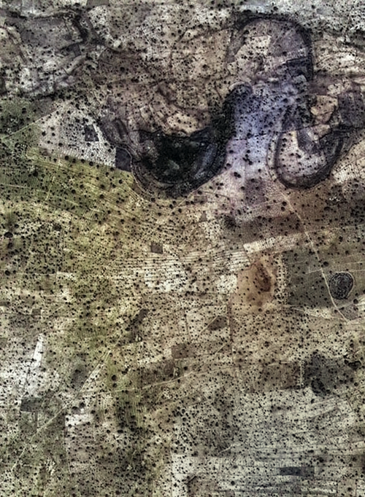 About FMNR - Farmer Managed Natural Regeneration